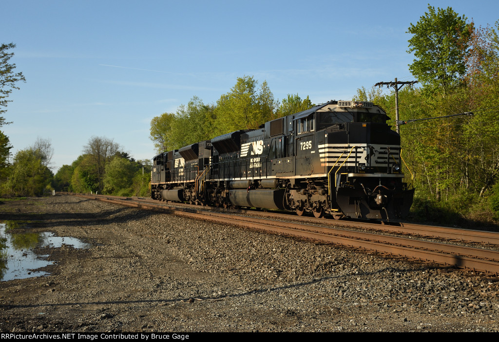 NS 7295